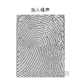 m基于合成指纹的数字信息隐藏和提取matlab仿真_i=medfilt2(i,[3,3])-CSDN博客