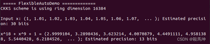 CKKS 精度测试（openFHE和Tenseal库）-CSDN博客
