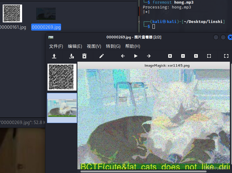 攻防世界misc前5页做题记录_bftools下载-CSDN博客