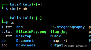 kali Linux 基础命令讲解二_kali如何修改文件内容-CSDN博客
