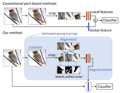 [CVPR 2022] Fine-Grained Object Classification via Self-Supervised Pose Alignment-CSDN博客