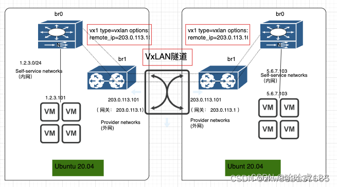 Ubuntu 20.04 上学习Open vSwitch ：VxLAN_ubuntu20.04安装openvswitch-CSDN博客