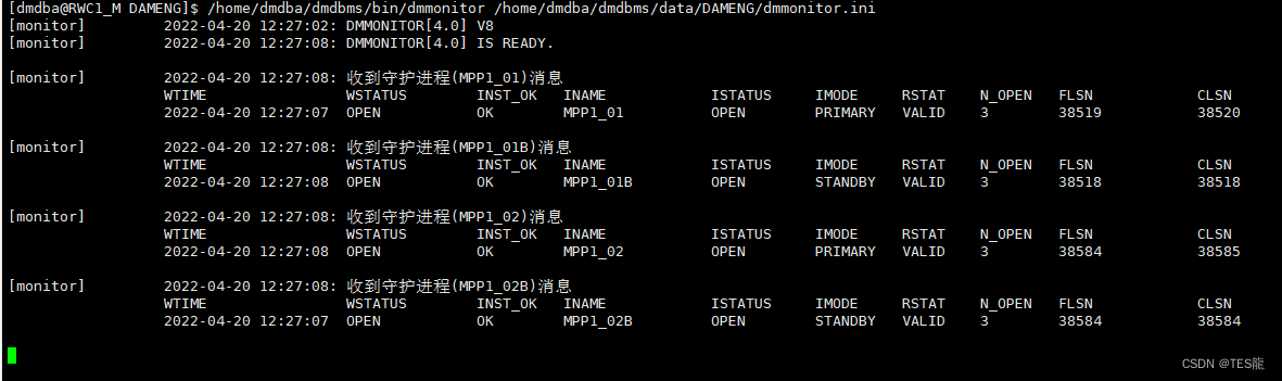DM MPP搭建_达梦 rwc模式和dw模式的区别-CSDN博客