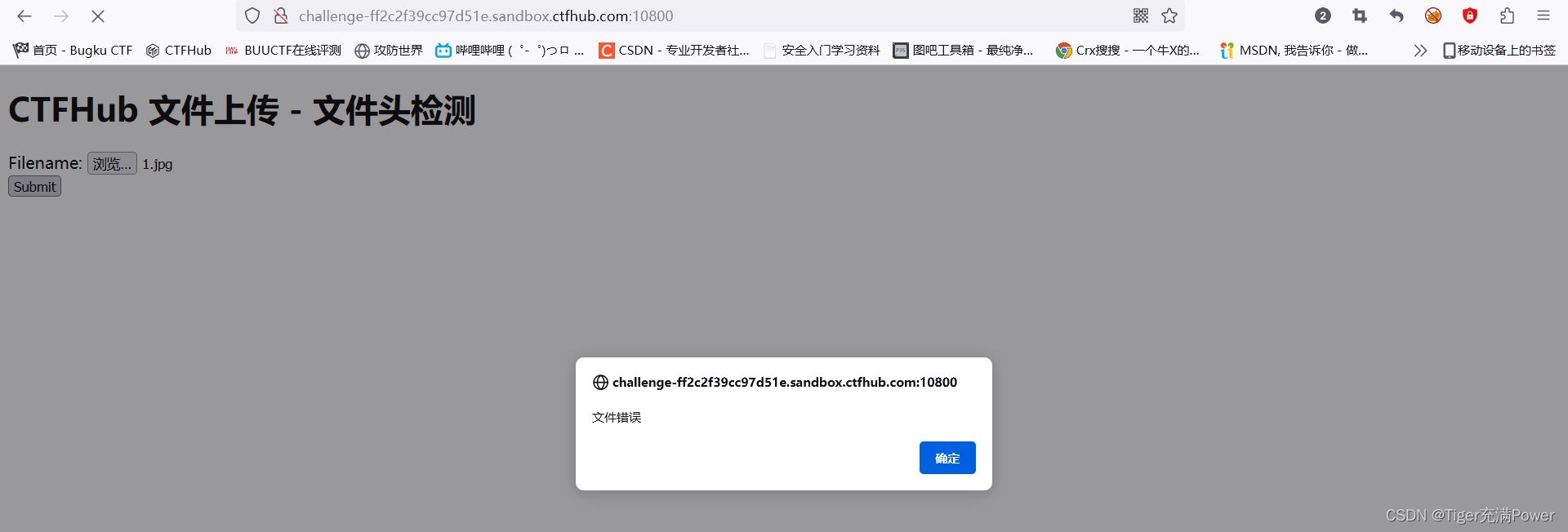 【CTFHub】文件上传_ctfhub 文件上传-CSDN博客