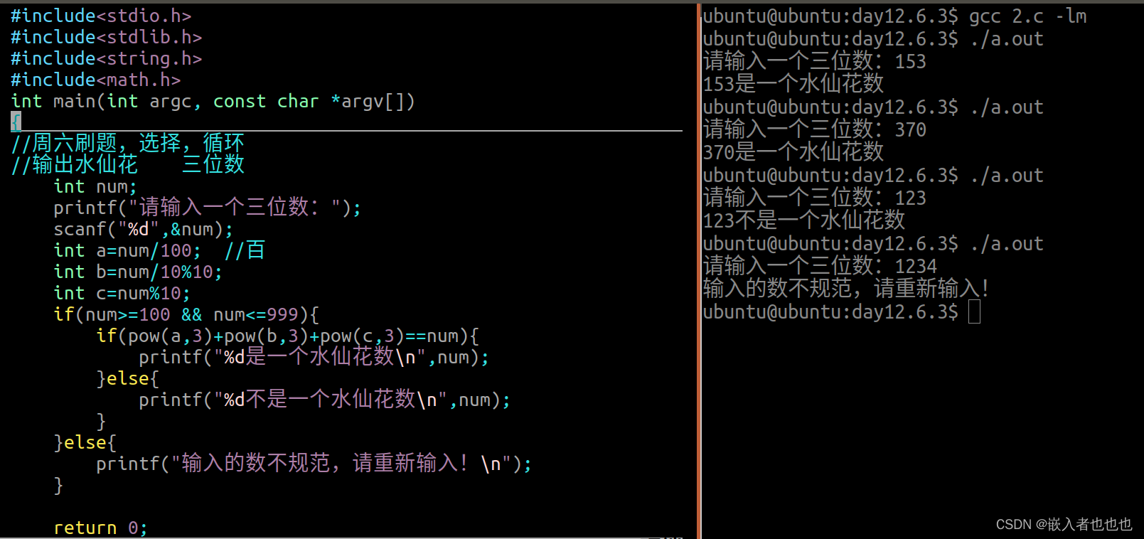 DAY12 Linux篇C语言，选择结构&&循环&&数组用法。_linux水仙花数-CSDN博客