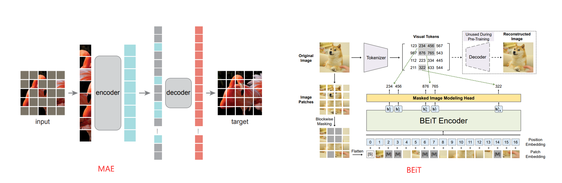 MAE-DFER: Efficient Masked Autoencoder for Self-supervised Dynamic ...