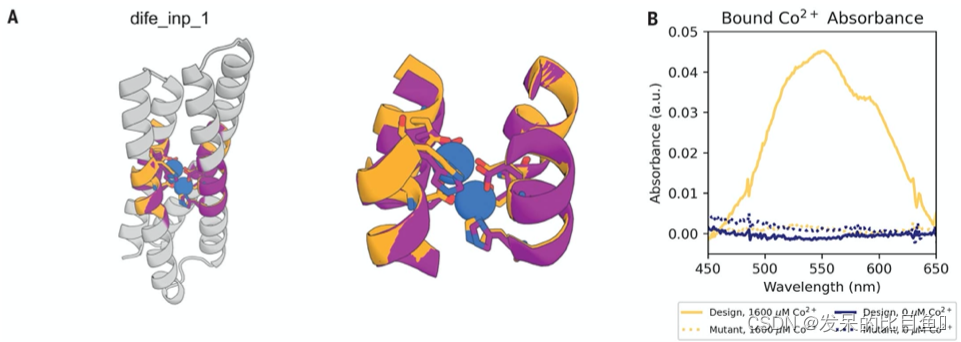 几行深度学习代码设计包含功能位点的候选免疫原、酶活性位点、蛋白结合蛋白、金属配位蛋白_rosetta inpainting-CSDN博客