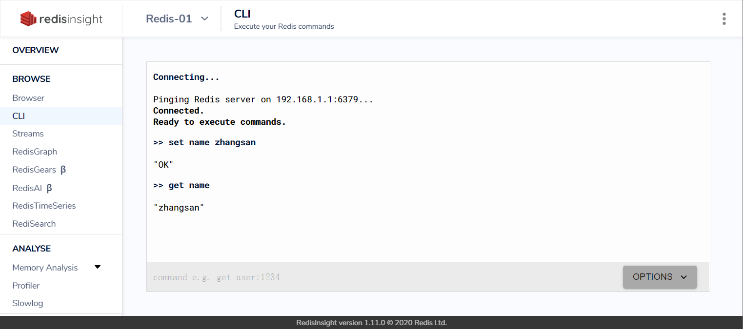 RedisInsight 安装与使用（Redis 监控工具）_redisinsight中文-CSDN博客