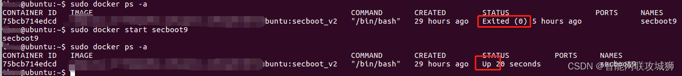 Linux下Docker的常用命令_sudo docker ps -a-CSDN博客