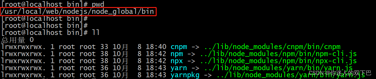 linux下使用nvm安装nodejs_linux查node-CSDN博客