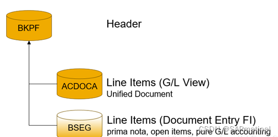 matinal：S4 HANA 详解ACDOCA与BSEG的区别都在这了_sap acdoca-CSDN博客