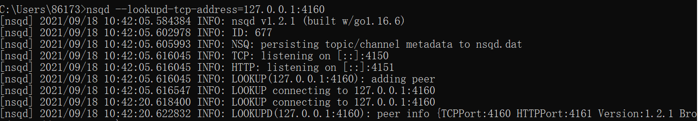 nsq安装配置（Windows）_win安装nsq-CSDN博客