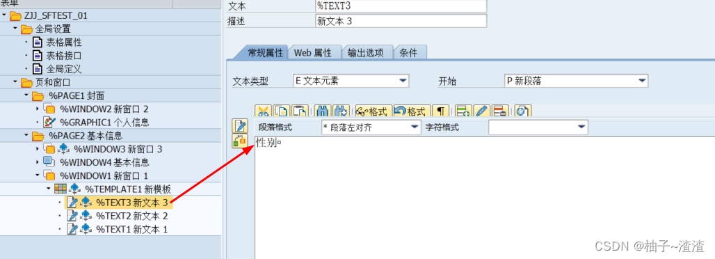 Smartforms Csdn博客 
