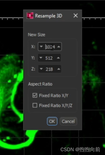 Imaris导入数据和初步使用_imaris教程-CSDN博客