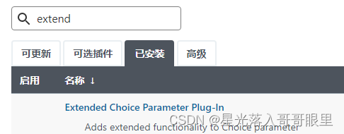 Extended Choice Parameter拓展参数化构建-CSDN博客