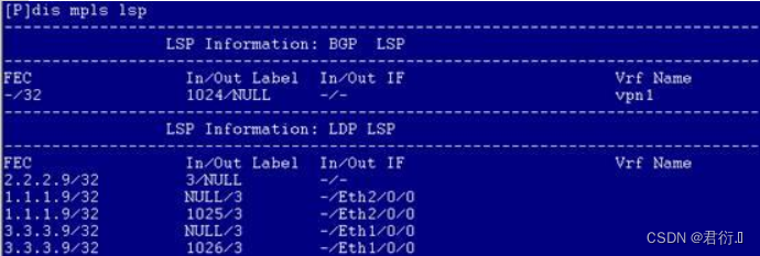 浅谈双层标签的VPN 第二篇 BGP/MPLS IP VPN的两层标签_bgp lsp和ldp lsp-CSDN博客