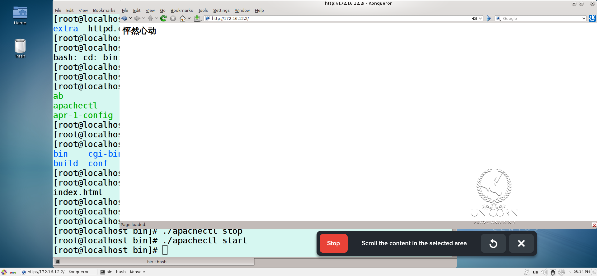 centOS 7 Apache将界面修改为可以识别中文_centos apache页面编辑-CSDN博客