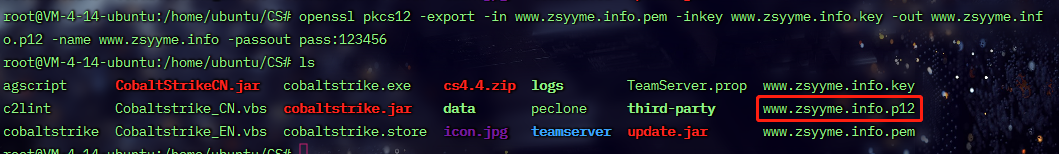 CobalStrike(CS)上线隐藏IP和流量_cs上线vps隐藏流量-CSDN博客
