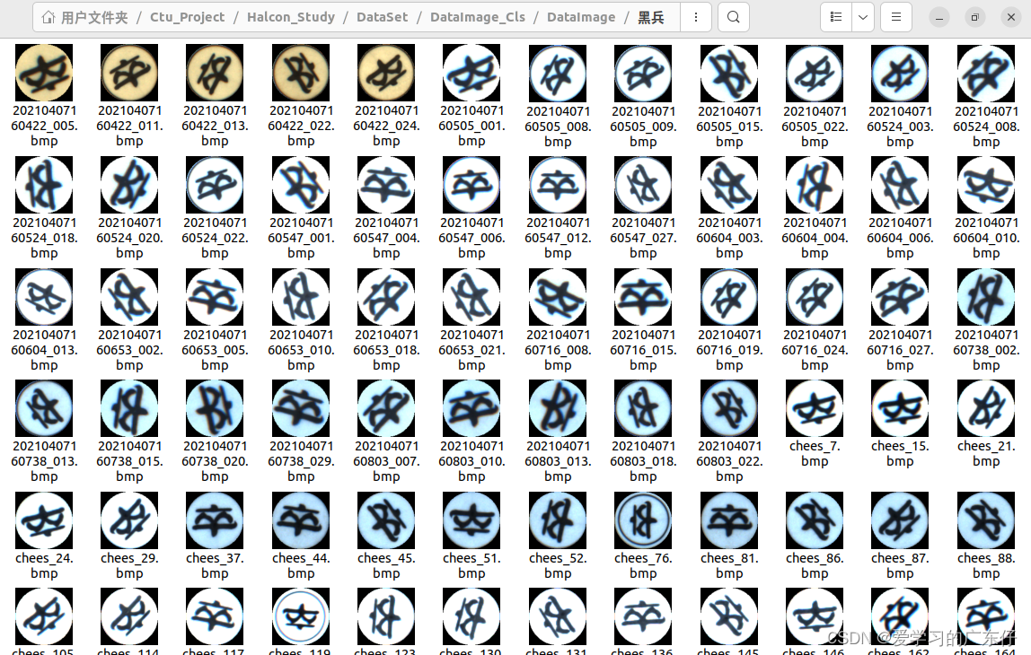 halcon脚本-深度学习【图像分类】_使用halcon训练图像分类-CSDN博客