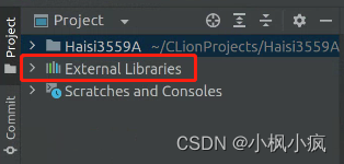 CLion使用相关问题_clion不能复制粘贴-CSDN博客