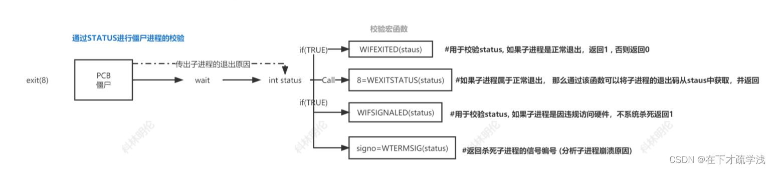 Linux中的僵尸进程与wait函数、waitpid函数详解（附图解与代码实现）_wait函数头文件-CSDN博客