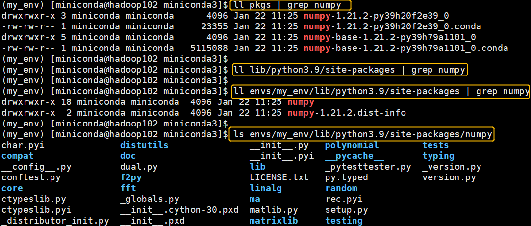 Miniconda入门：在CentOS上的安装、基本操作、目录结构、卸载_centos 安装miniconda-CSDN博客