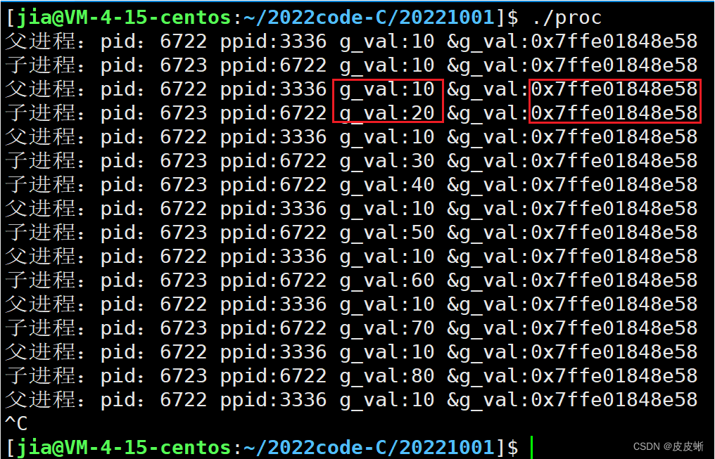 进程地址空间--Linux_地址发页-CSDN博客