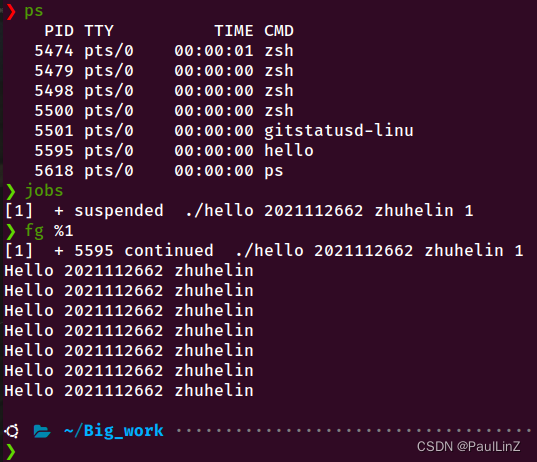计算机系统大作业之Hello的一生_计算机系统大作业hello-CSDN博客