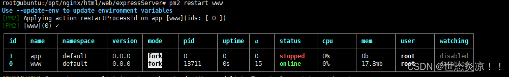 如何使用pm2管理node进程_pm2 启动 node 项目并管理-CSDN博客