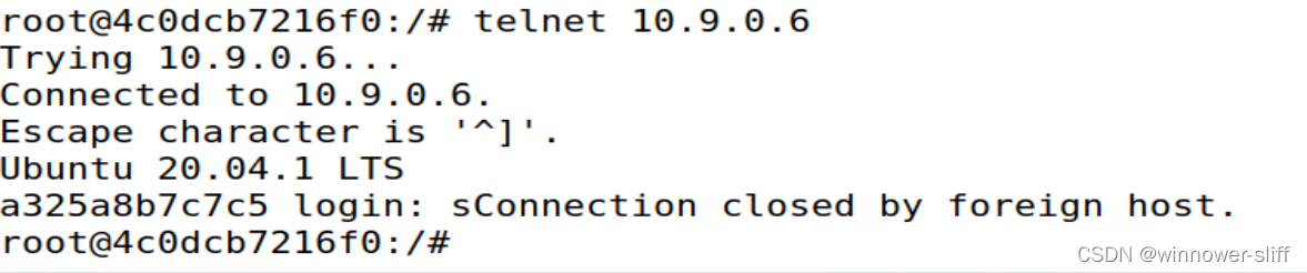 TCP/IP Attack Lab（SEED实验）_米特尼克攻击实验-CSDN博客