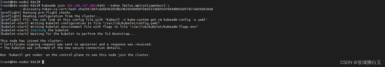 【k8s】三、k8s集群的初始化here Is One Example How You May List All Running K Csdn博客