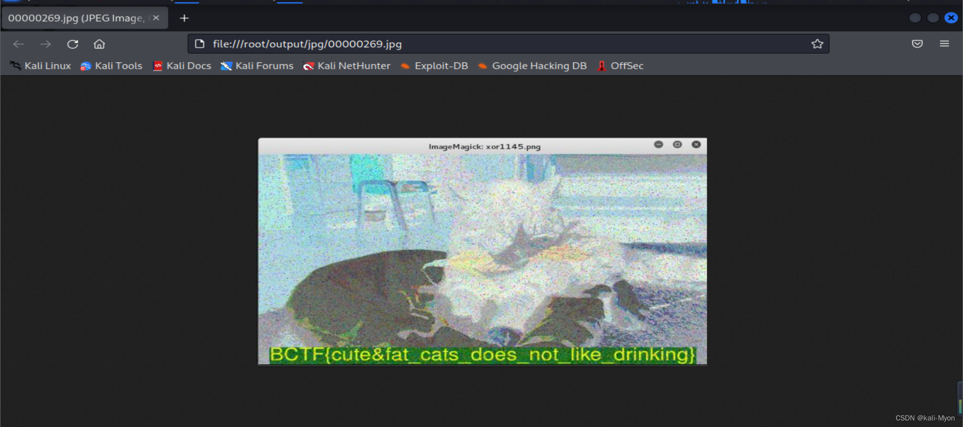 攻防世界-难度1-Misc总结-CSDN博客
