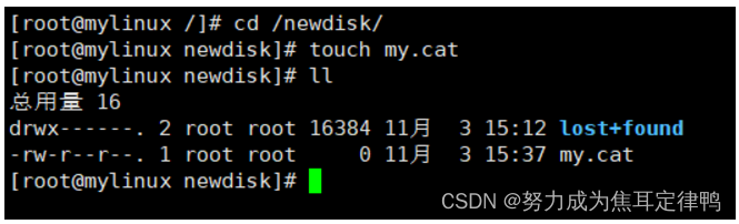 Linux：磁盘分区，挂载(含实例)_lsblk挂载硬盘-CSDN博客