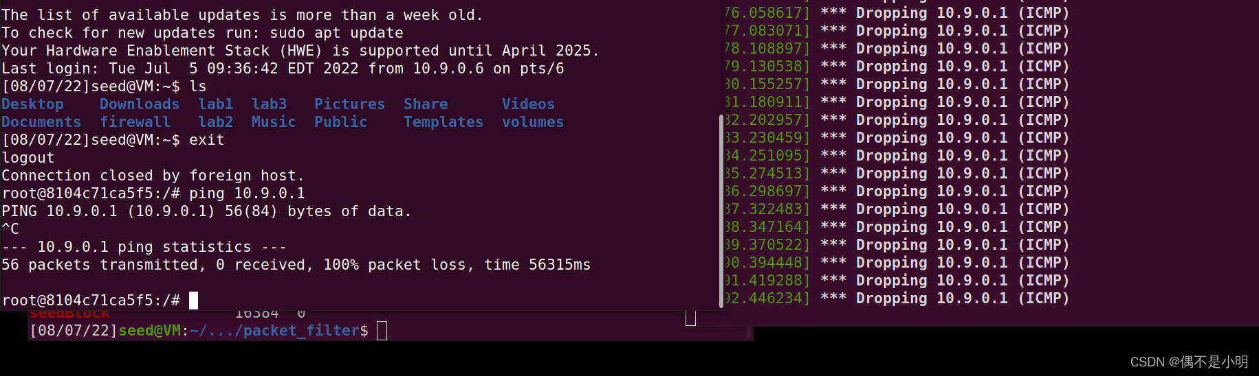 SEED-LABS Firewall Exploration Lab-CSDN博客