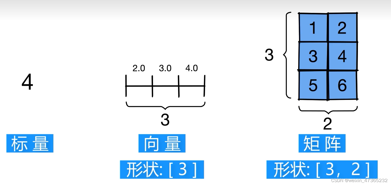 MindSpore入门——张量Tensor_mindspore tensorbord-CSDN博客