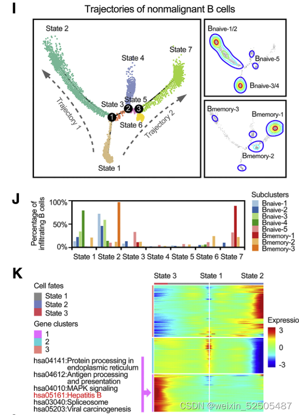单细胞数据处理流程-monocle2_error in if (class(projection) != "matrix") projec-CSDN博客