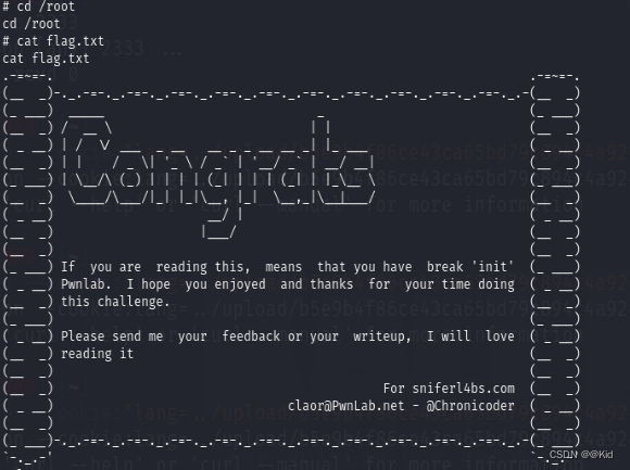 黑盒渗透测试vulnhub--PwnLab: init-CSDN博客