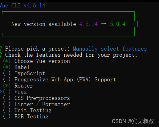 安装指定版本Vue 并创建项目_npx create-vue设置vue版本_宾宾叔叔的博客-CSDN博客