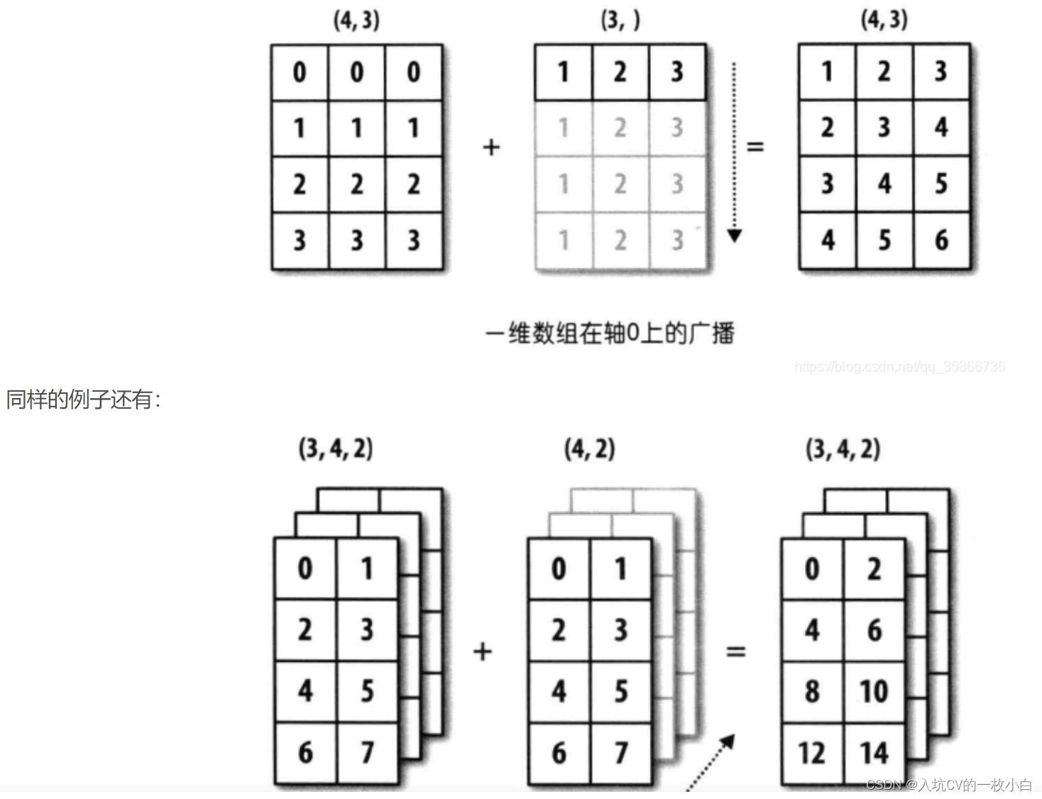 Python基础知识总结optional Tensor Csdn博客