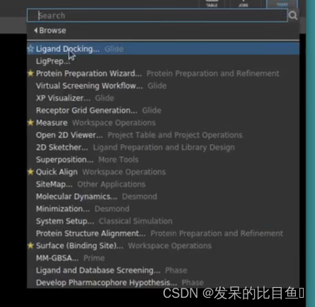 薛定谔教程--Glide分子对接 | Ligand Docking_薛定谔对接-CSDN博客