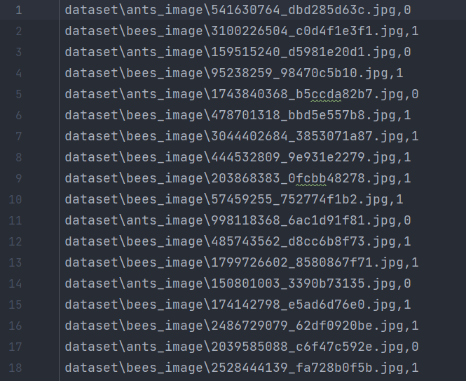学习Pytorch+Python之自定义数据集(创建CSV文件)_pytorch 自定义数据集 一定要定义一个csv文件来记录标签-CSDN博客