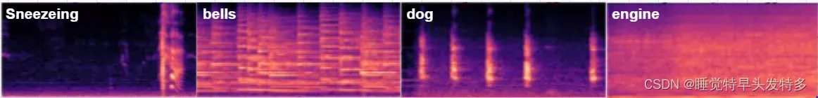 小样本学习跨域(Cross-Domain)问题总结_plantae数据集-CSDN博客