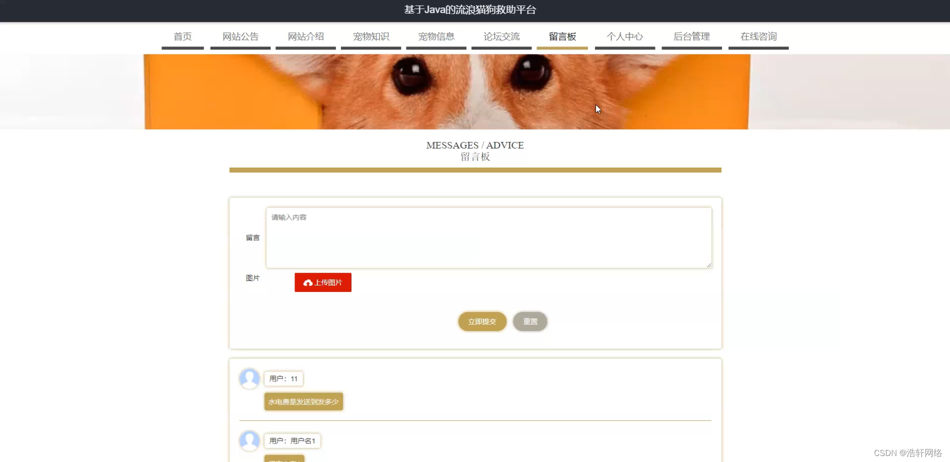 Ssmjava计算机毕业设计基于java的流浪猫狗救助平台kw07o（程序lw源码远程部署 Csdn博客 