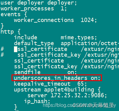 1. http header中参数有下划线时无法传递_header 下划线-CSDN博客