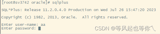 Linux服务器登录Oracle数据库并给用户赋予权限_linux 进入oracle用户-CSDN博客