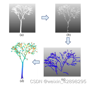 【论文阅读】Estimating Tree Structural Parameters via AutomaticTree Segmentation From LiDAR ...