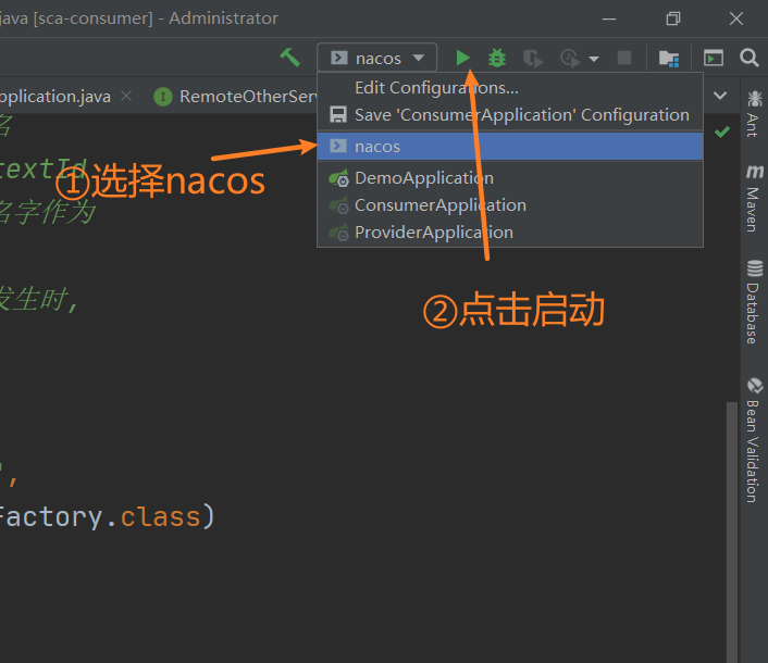 idea启动nacos配置_idea 注册到nacos启动项配置-CSDN博客