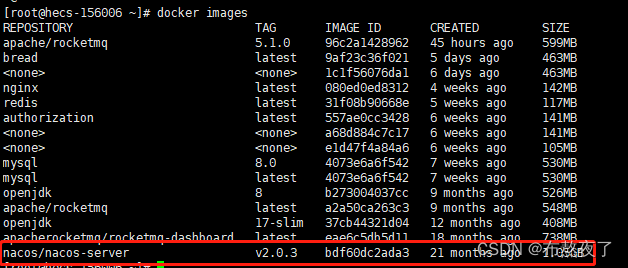 【Docker】Nacos2.0.3的配置部署与基于SpringBoot3.0.5的代码基础配置-CSDN博客